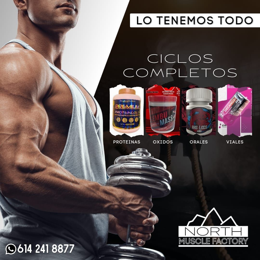 North Muscle Factory • Menú, Precios y Dirección