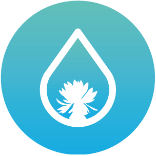 Fábrica de Ríos • Menú, Precios y Dirección