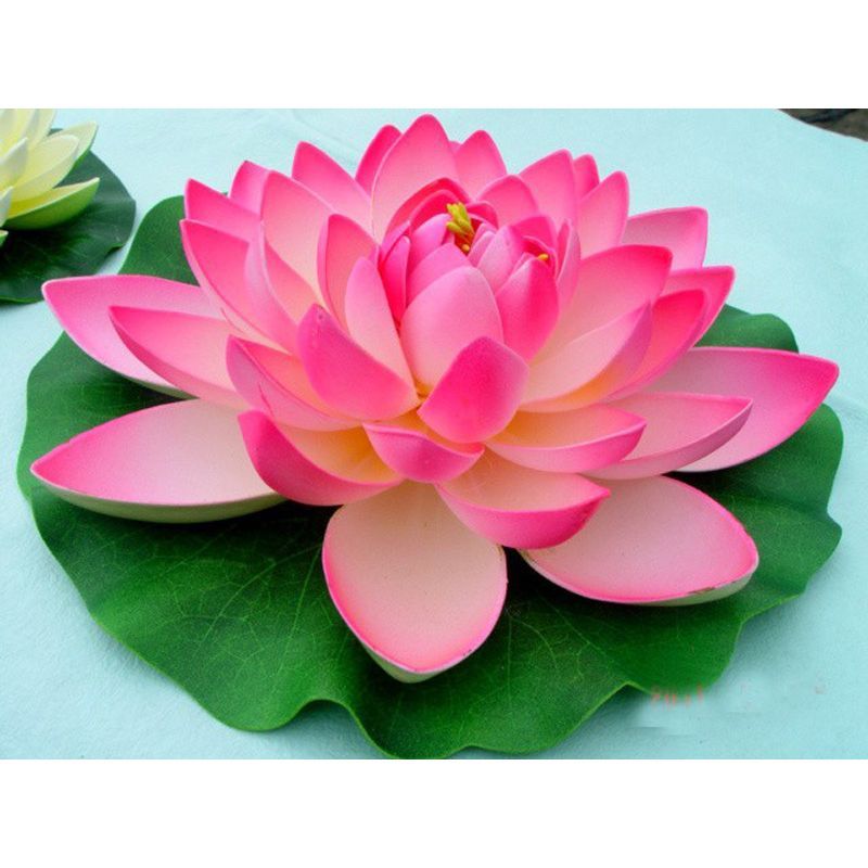 Restaurante Lol-Ha • Menú, Precios y Dirección