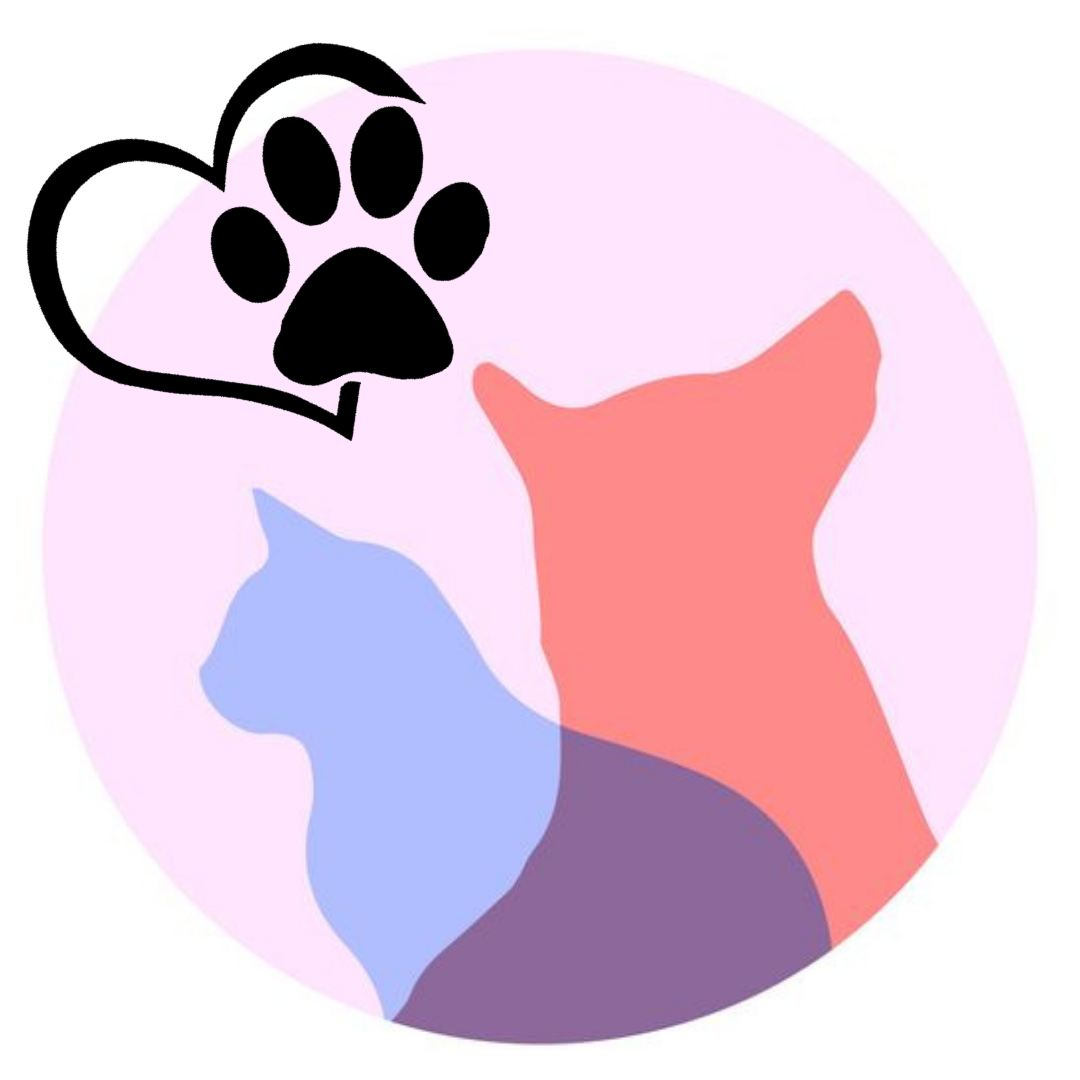 Sabrositas • Menú, Precios y Dirección